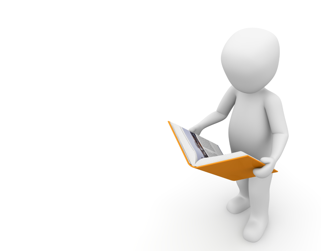 User Guide - Point Hunt
